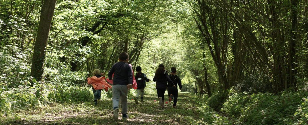 Green Care: meaning and background - Green4C