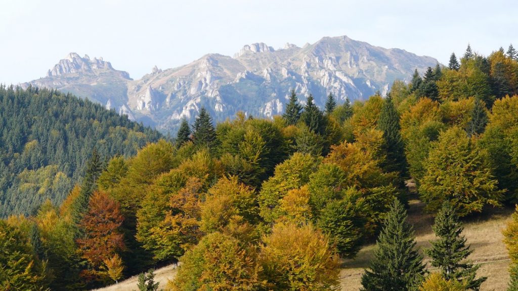 How biodiversity impacts the site suitability for Green care tourism in ...